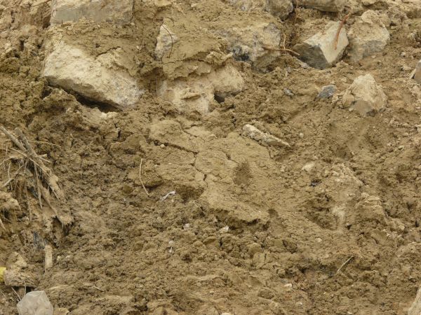 dirt with rocks texture 0025 - Texturelib